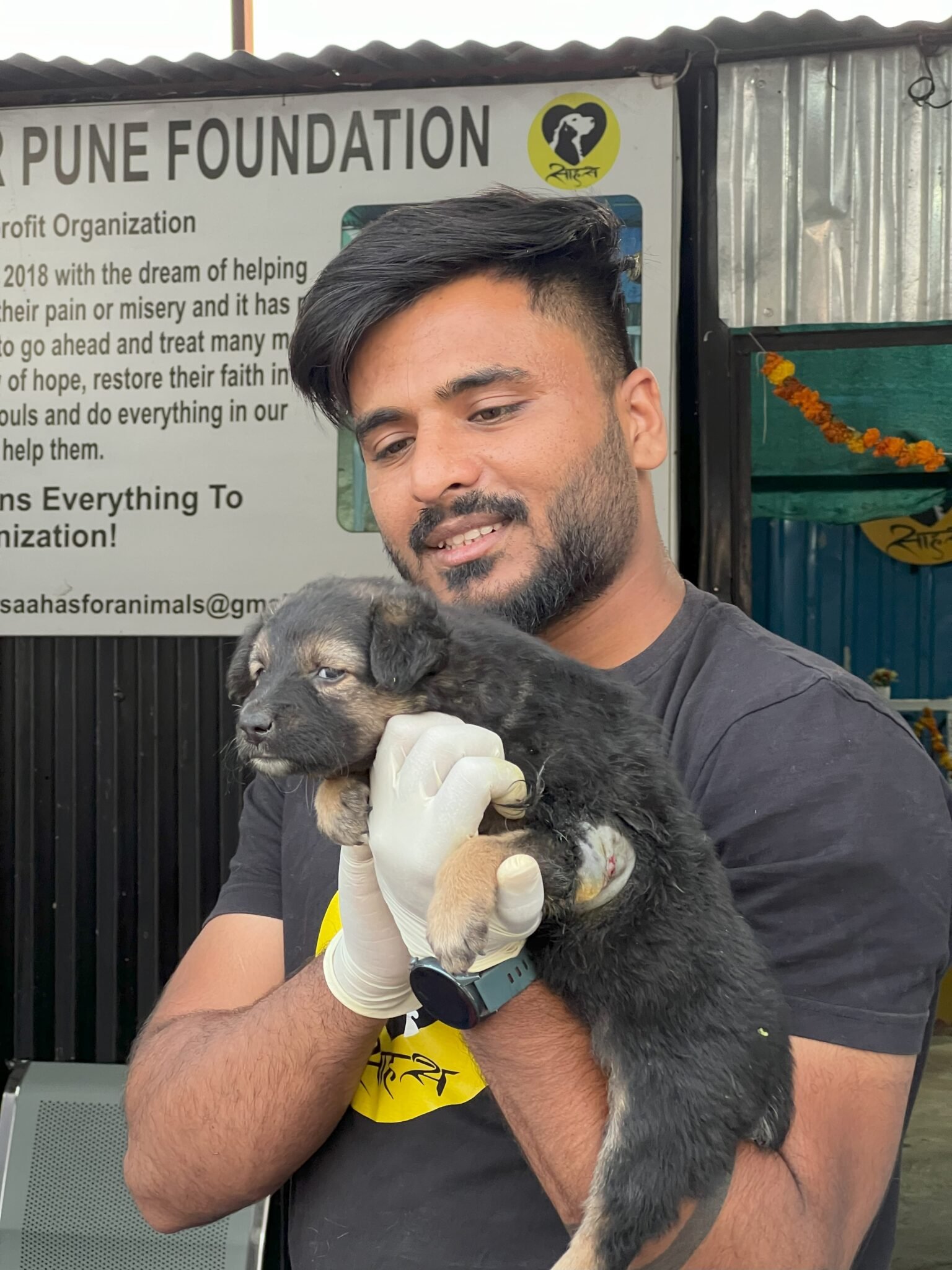 Saahas For Animals - Rated #1 NGO for Stray Animals in Pune