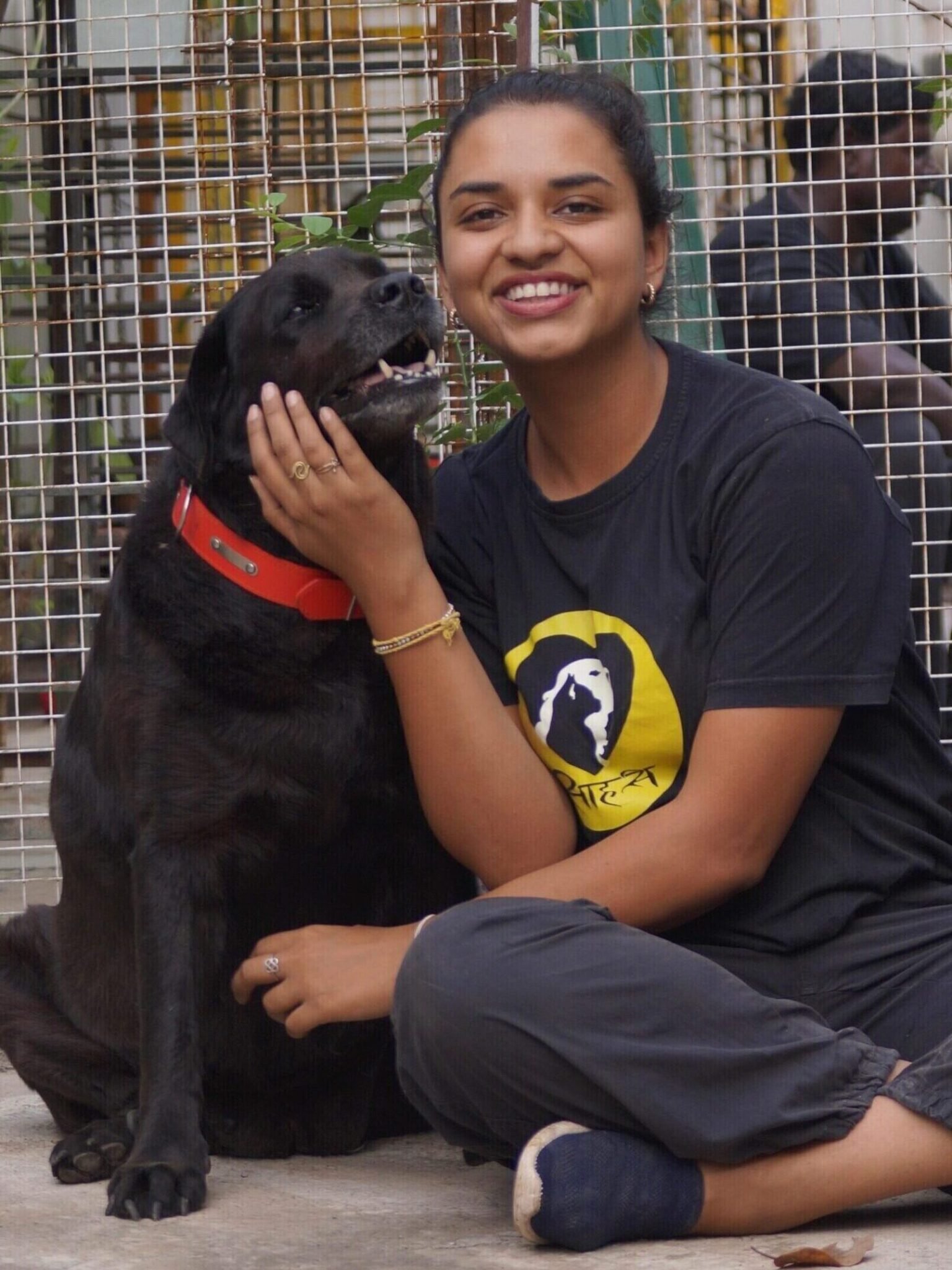 Saahas For Animals - Rated #1 NGO for Stray Animals in Pune